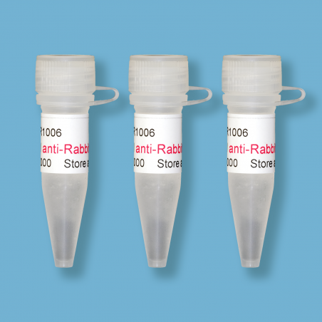 Digital anti-Rabbit-HRP